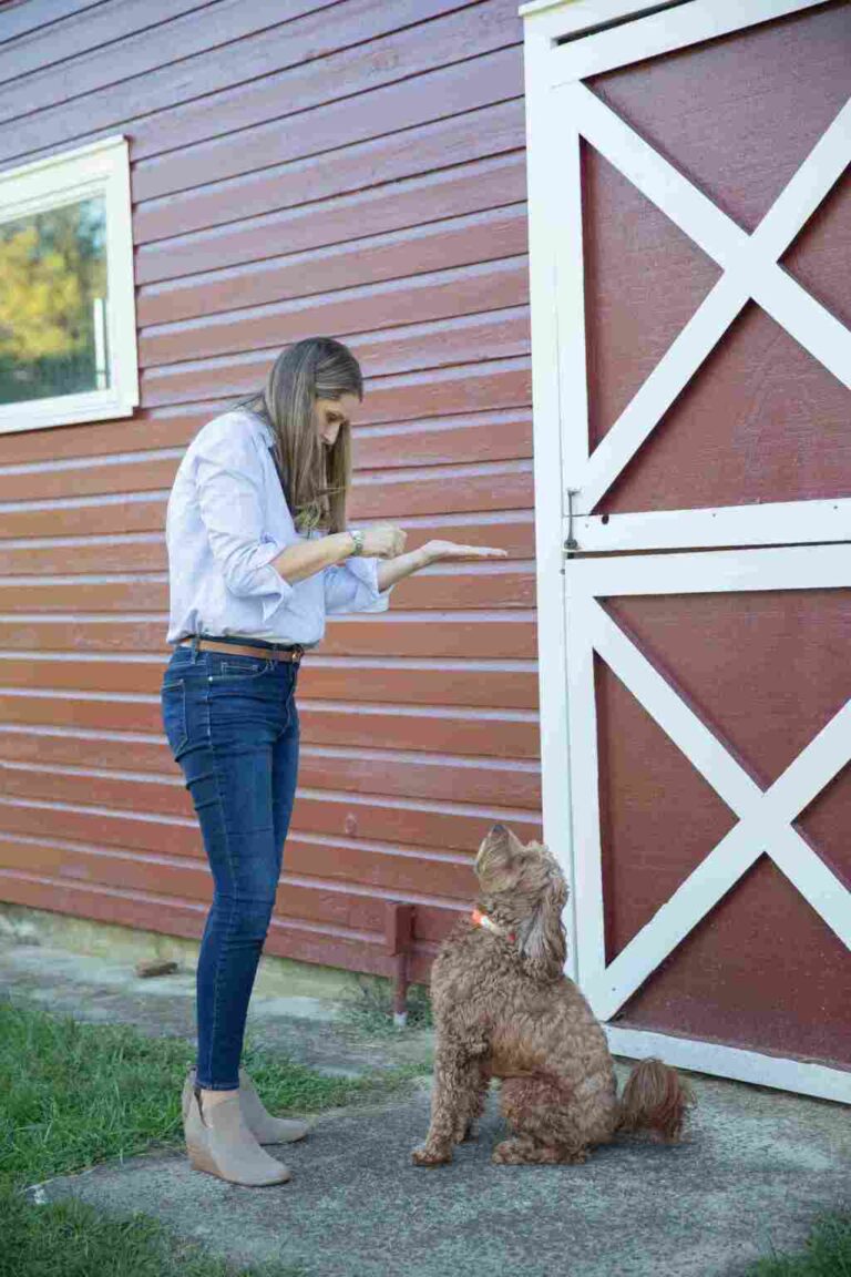 About Us - Four Paw Pet Solutions